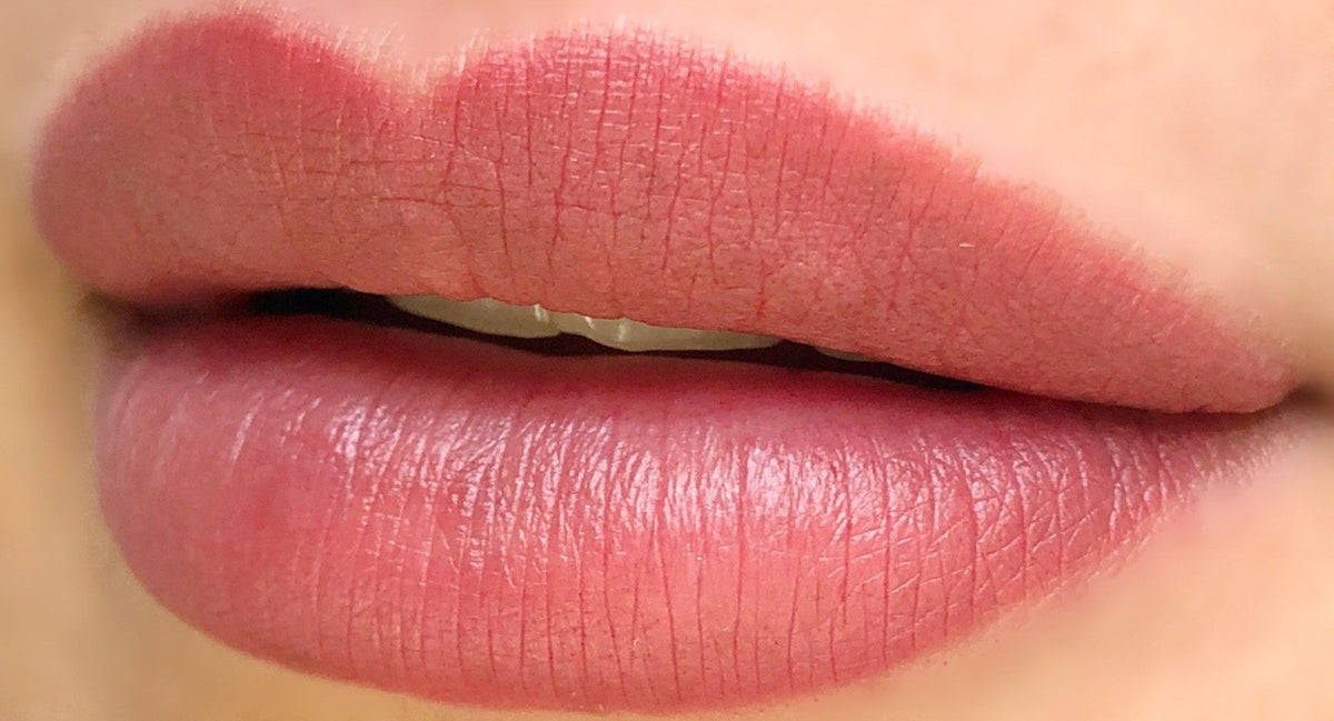 Case Study: Healed Lips on Fitzpatrick 4 Client | PMU Artist Sara Baseri