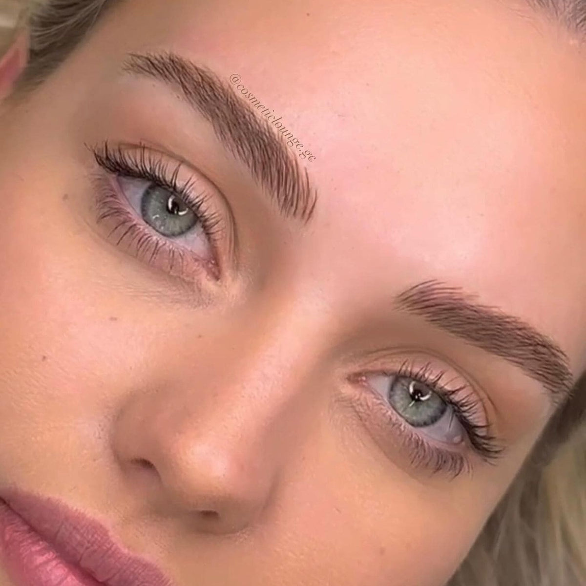 Tina Davies I ️ INK Brow Color Chart - Color Selection Guide