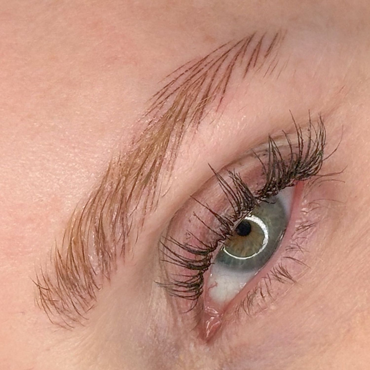 Tina Davies I ️ INK Brow Color Chart - Color Selection Guide