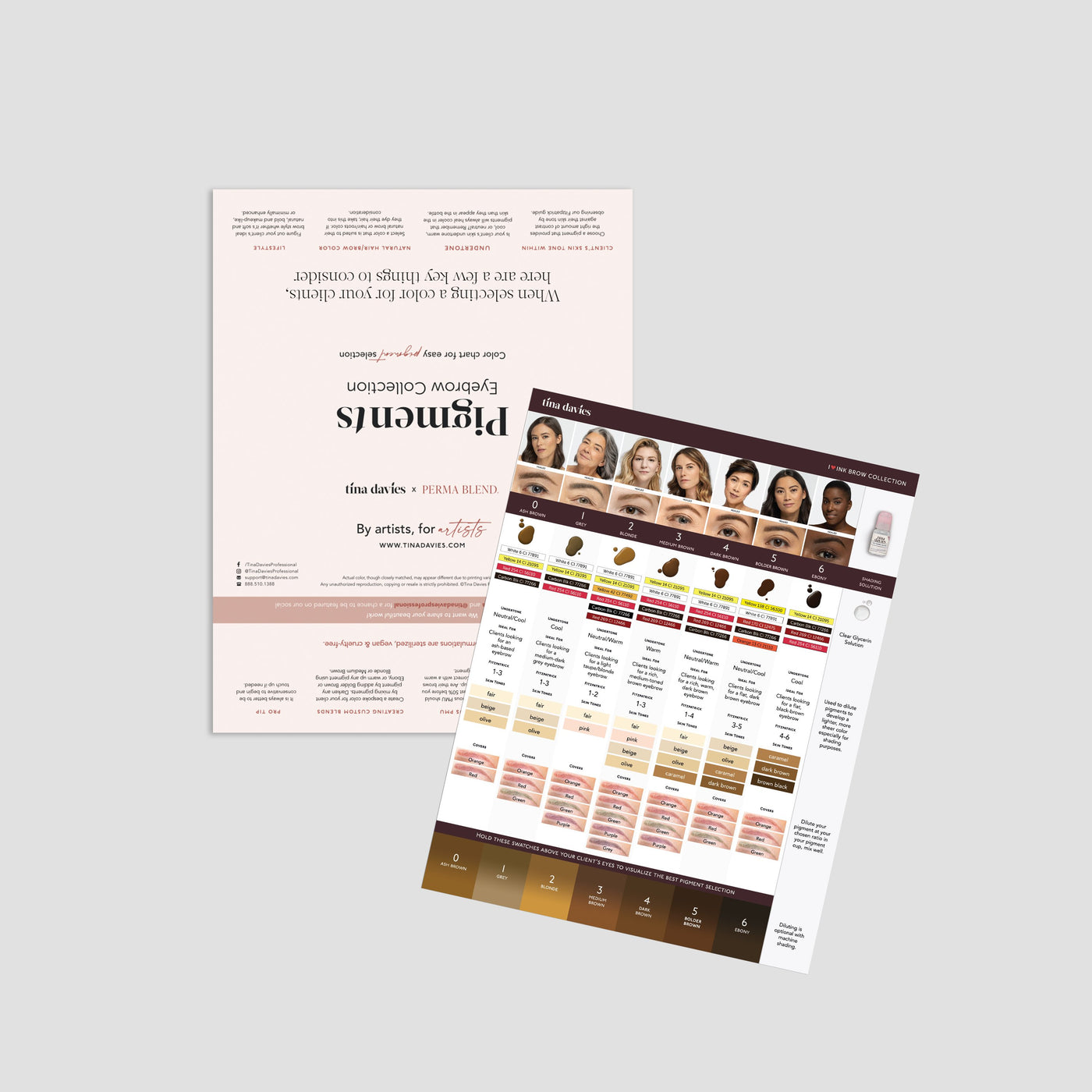 Tina Davies I ️ INK Brow Color Chart - Color Selection Guide