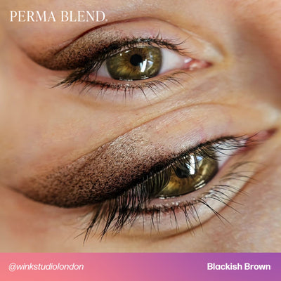 Perma Blend Signature Brow Set - Premium Pigments & Customizable Shades