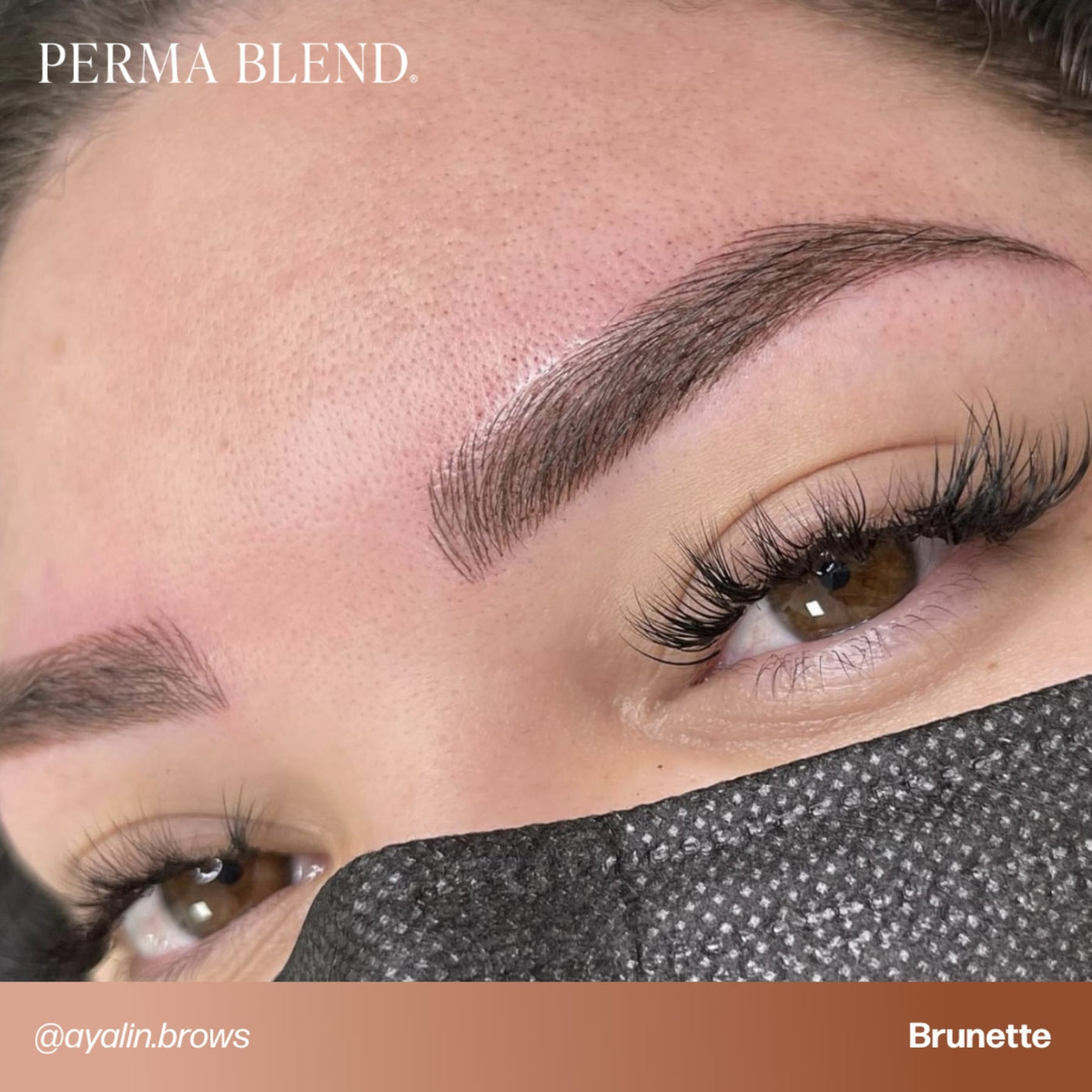 Perma Blend Signature Brow Set - Premium Pigments & Customizable Shades