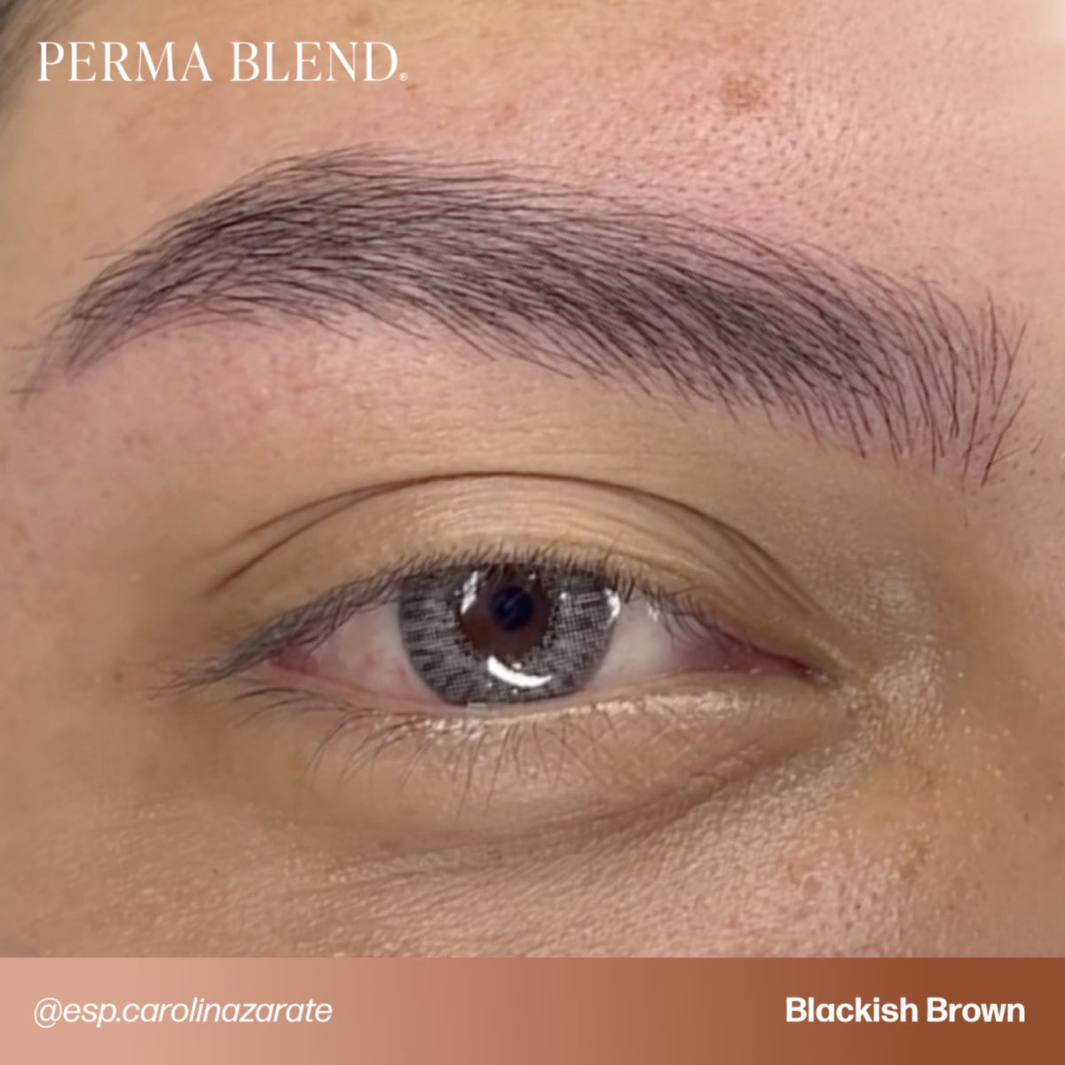 Perma Blend Signature Brow Set - Premium Pigments & Customizable Shades