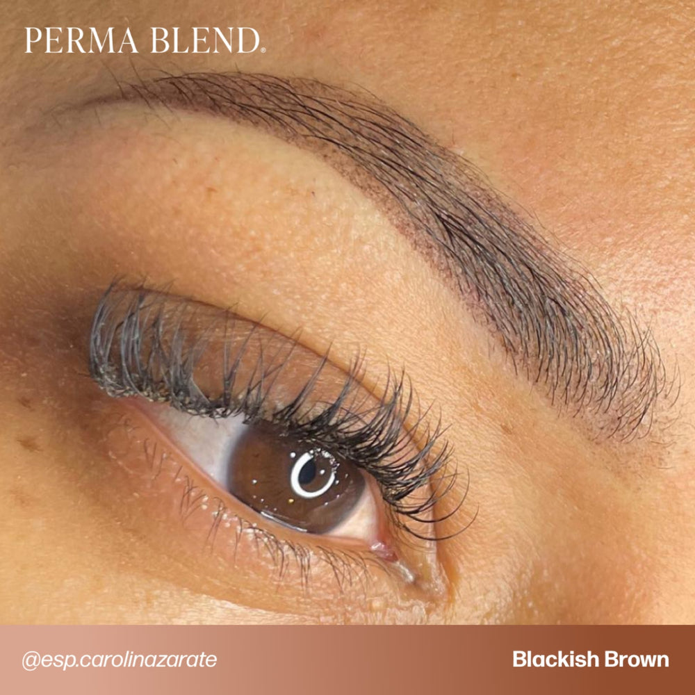 Perma Blend Signature Brow Set - Premium Pigments & Customizable Shades