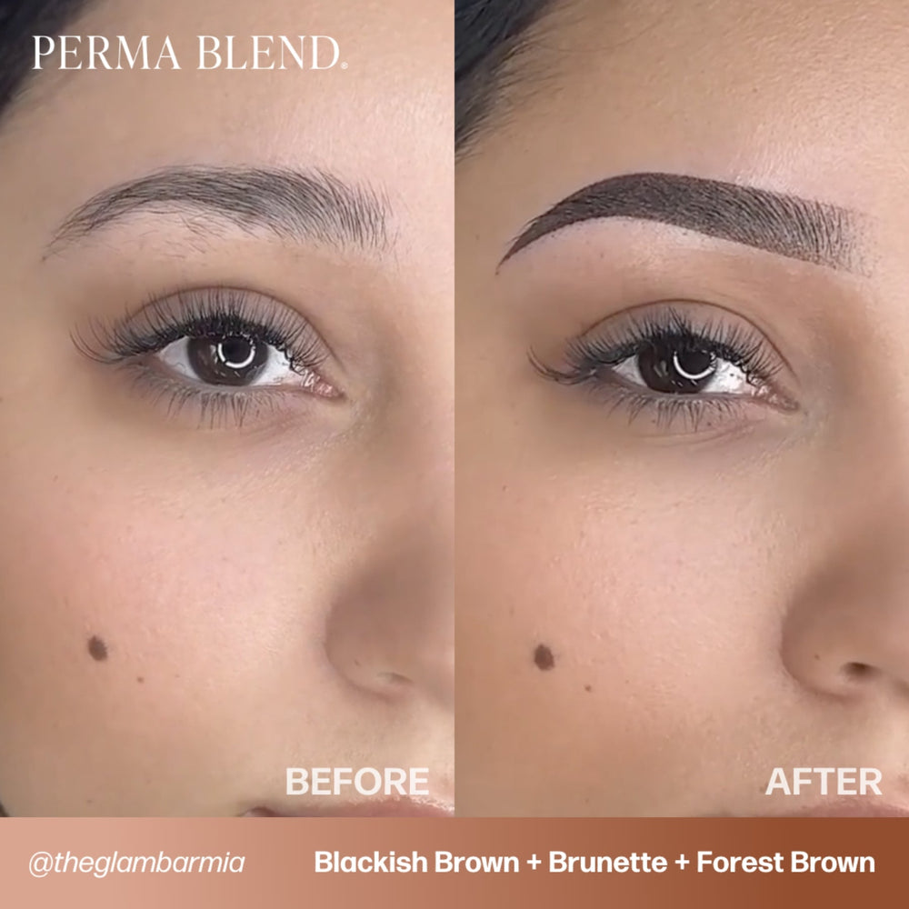 Perma Blend Signature Brow Set - Premium Pigments & Customizable Shades